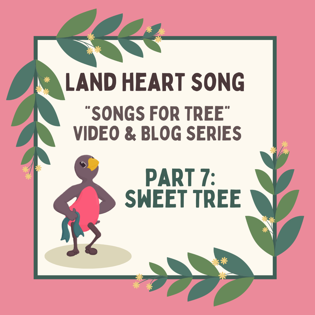 Songs for Tree – Video & Blog Post – Part 7: Sweet Tree – Land Heart Song