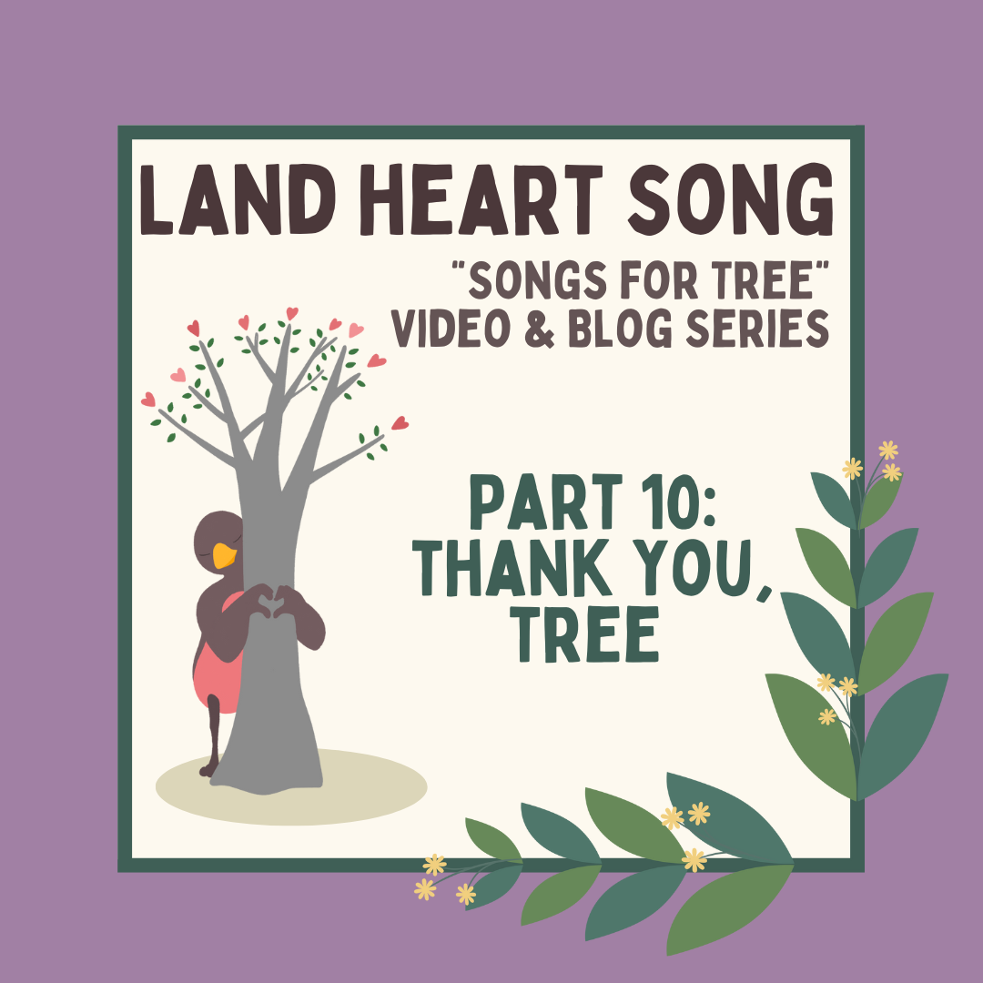 Songs for Tree – Video & Blog Post – Part 10: Thank You, Tree – Land ...