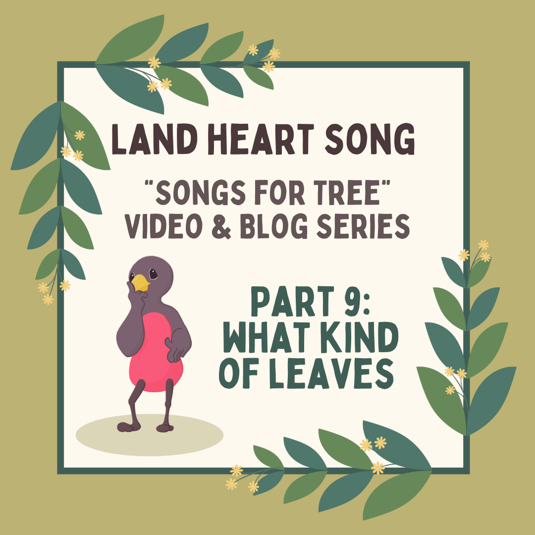 Songs for Tree – Video & Blog Post – Part 9: What Kind of Leaves – Land ...